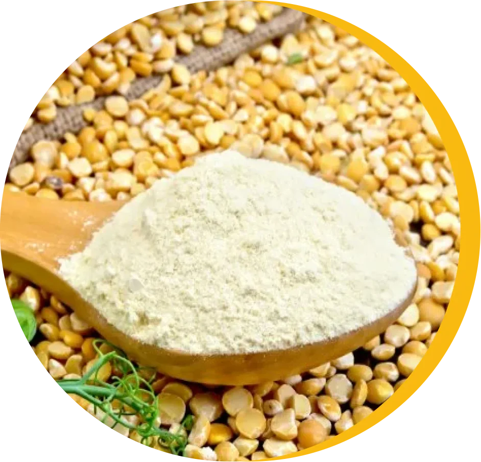 Triticale | Barley | Wheat | Wheat Berries- Fabian Seed Farms