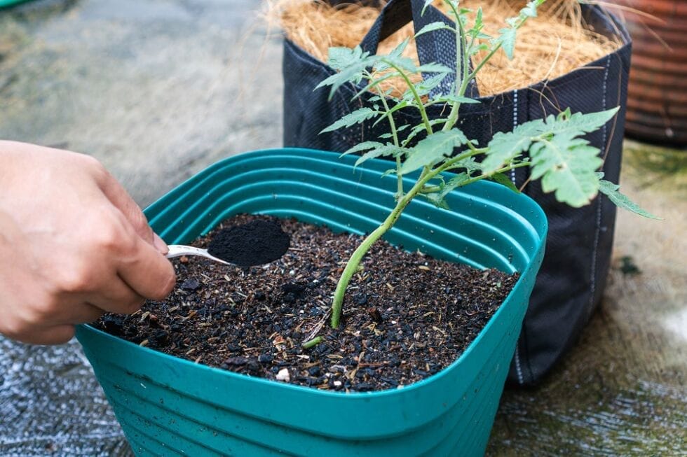 Humic Acid | Fulvic Acid: Understanding Their Roles in Agriculture