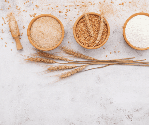 A Beginner's Guide to Growing Wheat from Seeds
