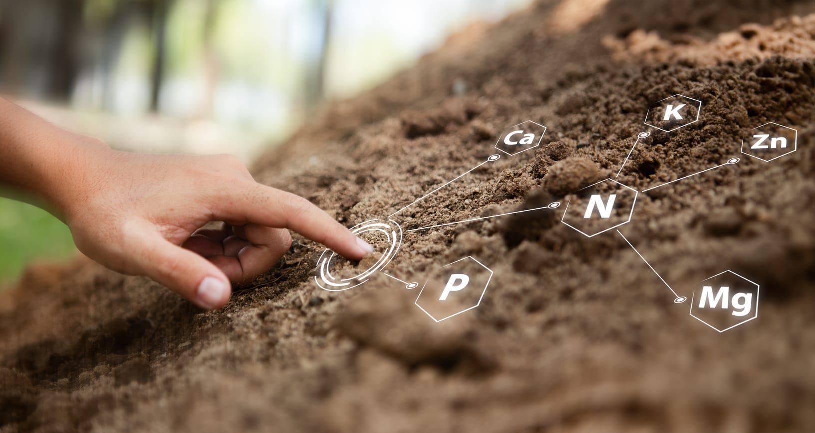 Understanding Soil Health: Practices for Thriving Ecosystems